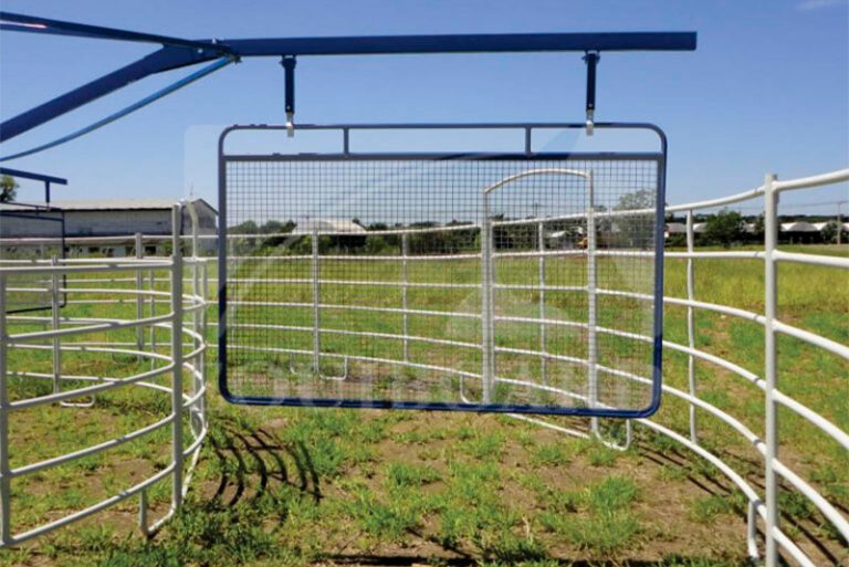 Caminhador Exercitador Equino - Equiboard